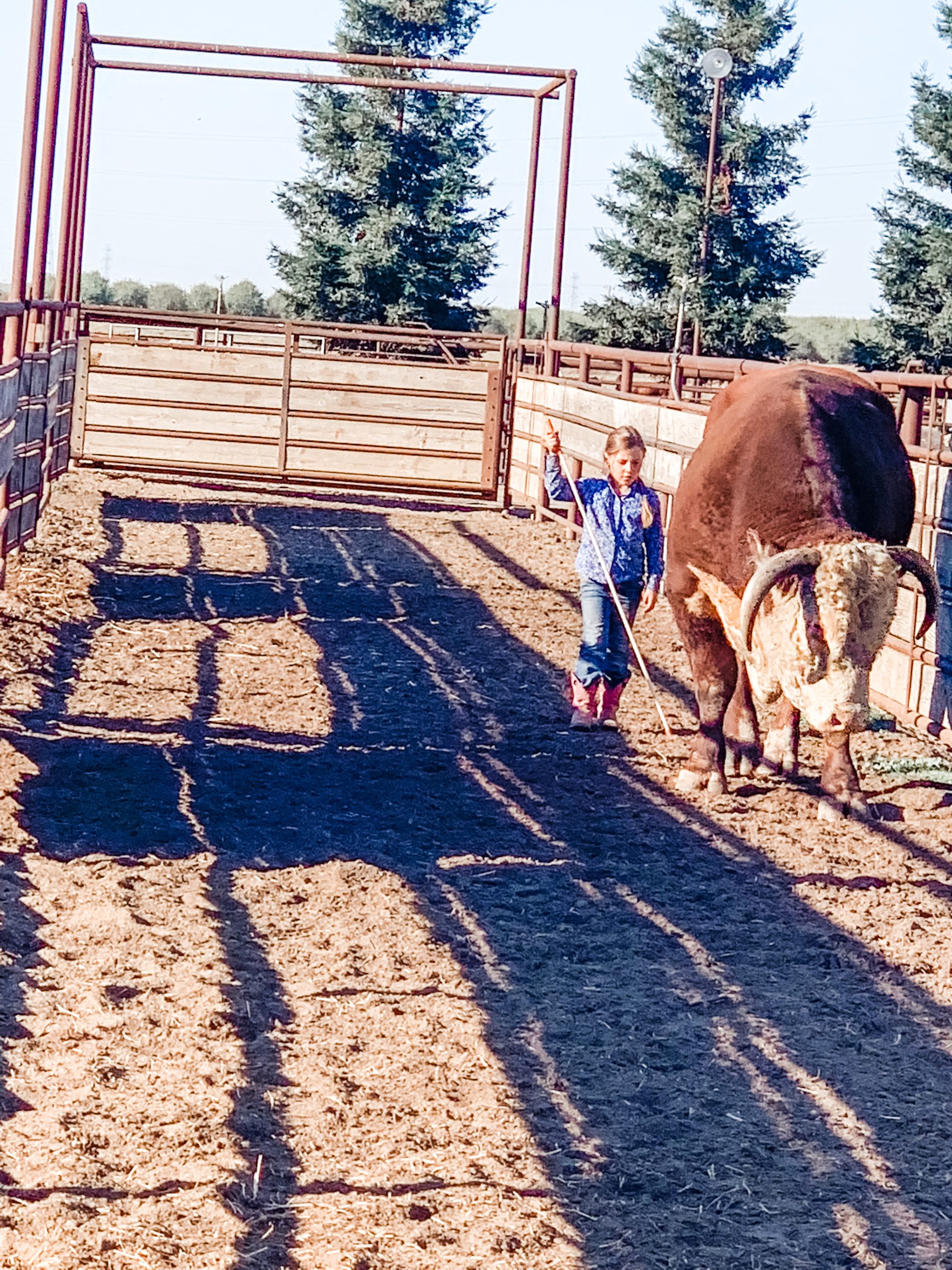 Ranch Life – TWR